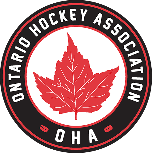 Alliston Hornets
