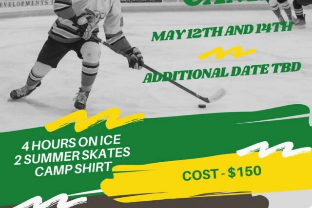 Alliston Hornets